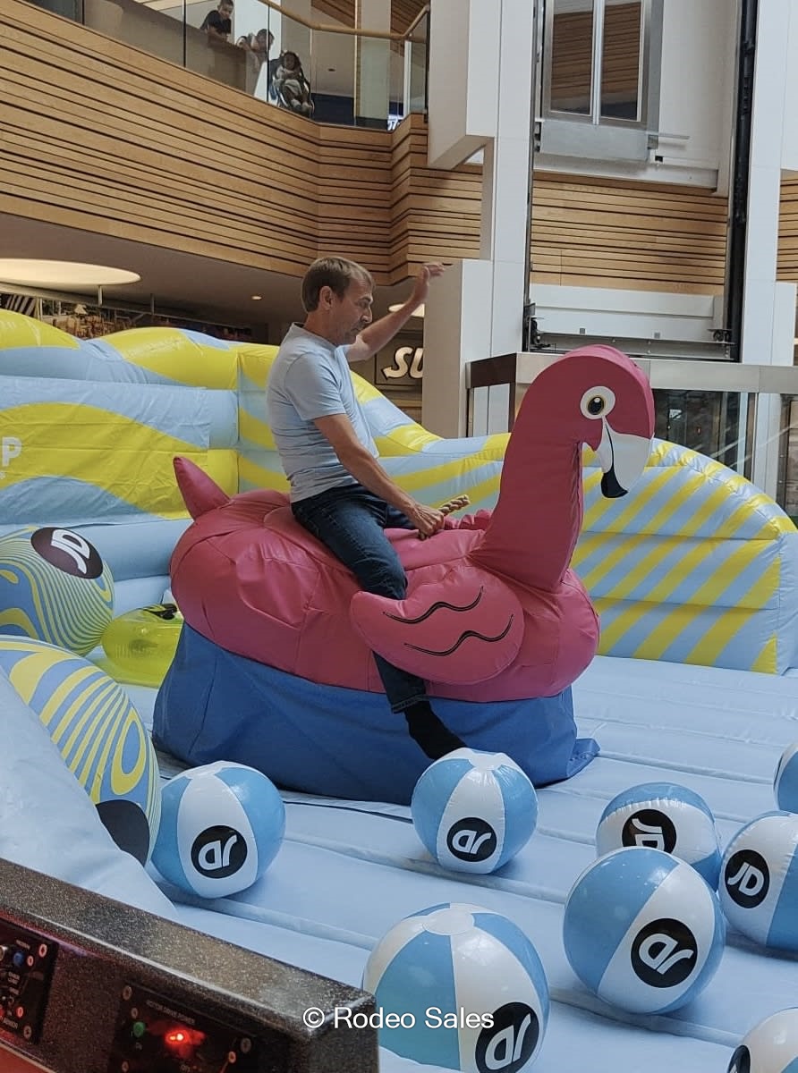 Rodeo Flamingo - Manufacture and supplier of mobile leisure games and ...